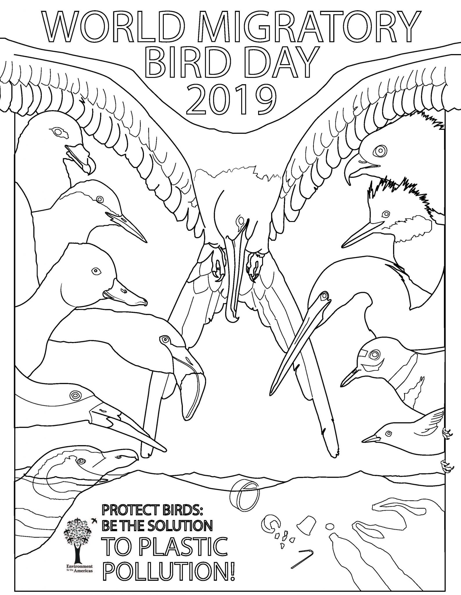 Resources – World Migratory Bird Day