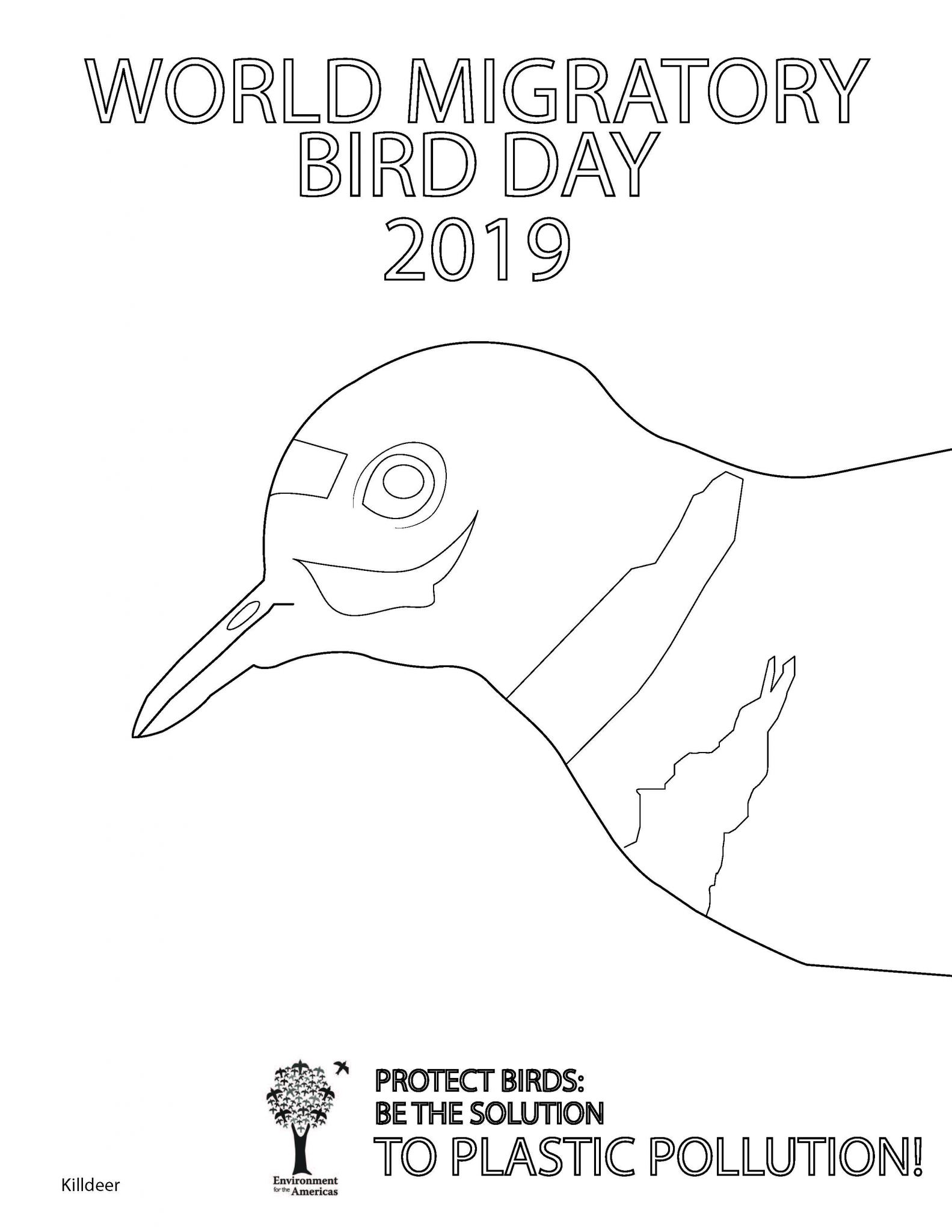Resources – World Migratory Bird Day