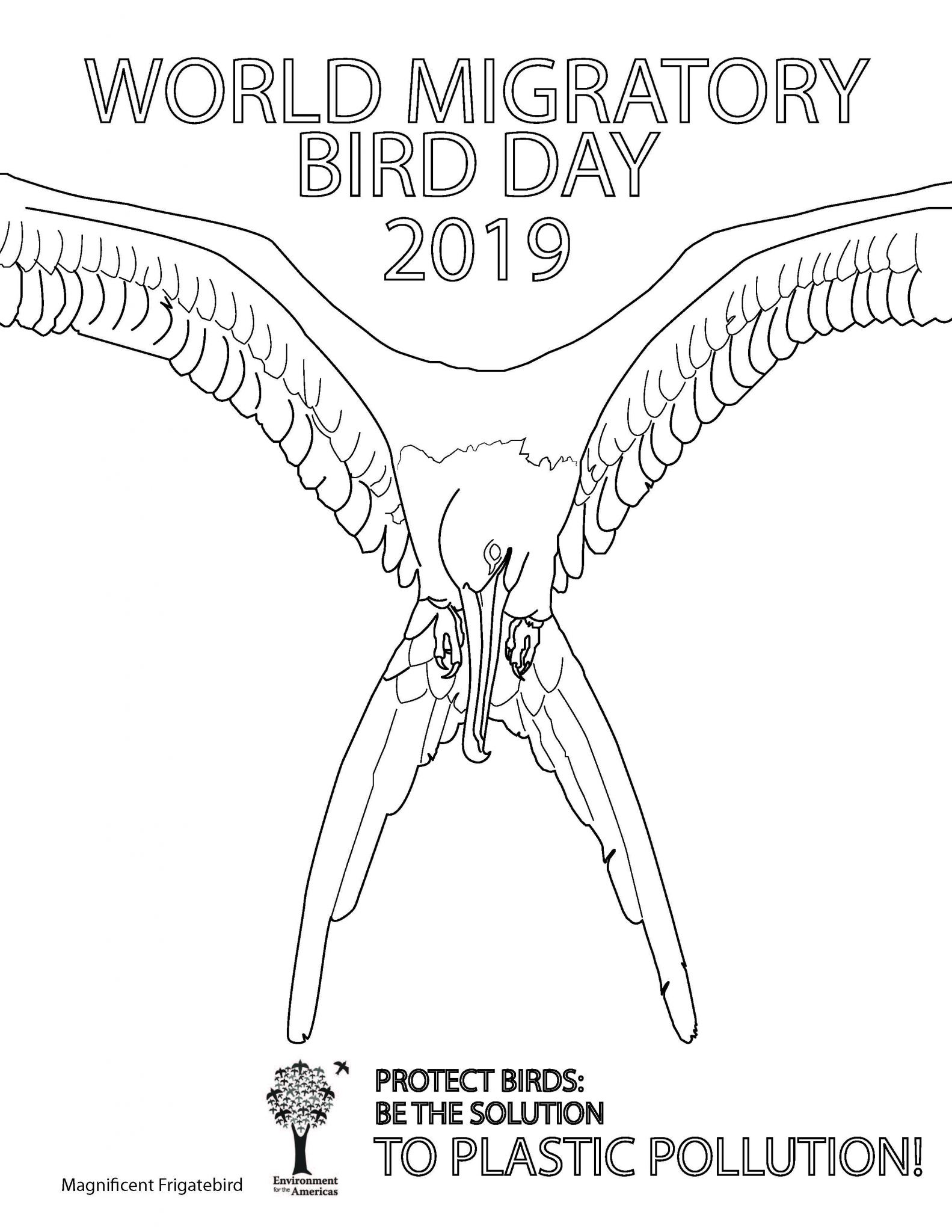 Resources – World Migratory Bird Day