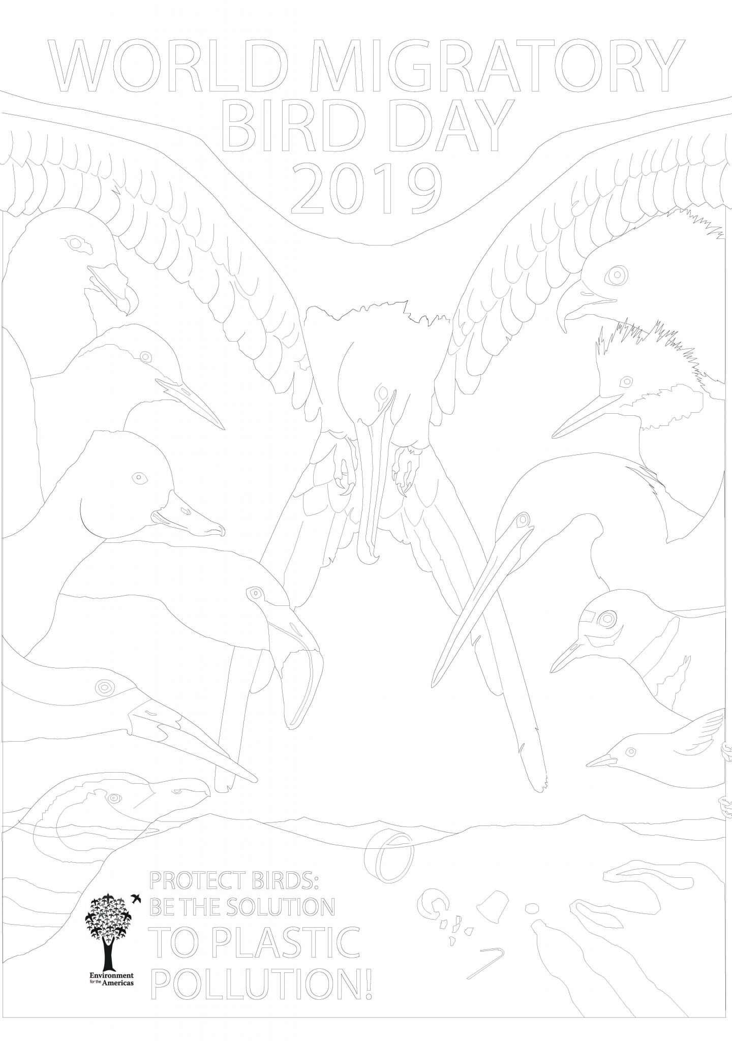 Resources – World Migratory Bird Day