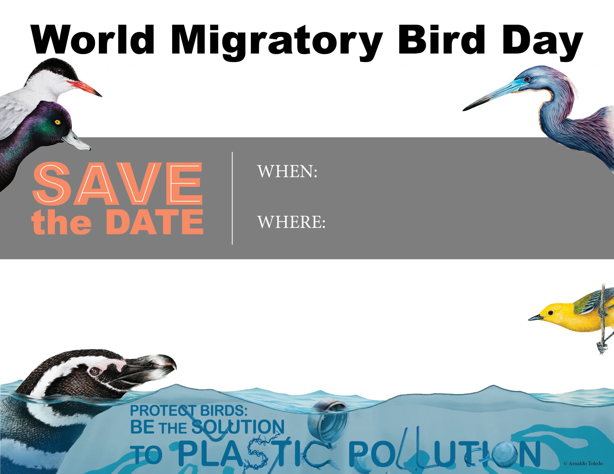 Resources – World Migratory Bird Day