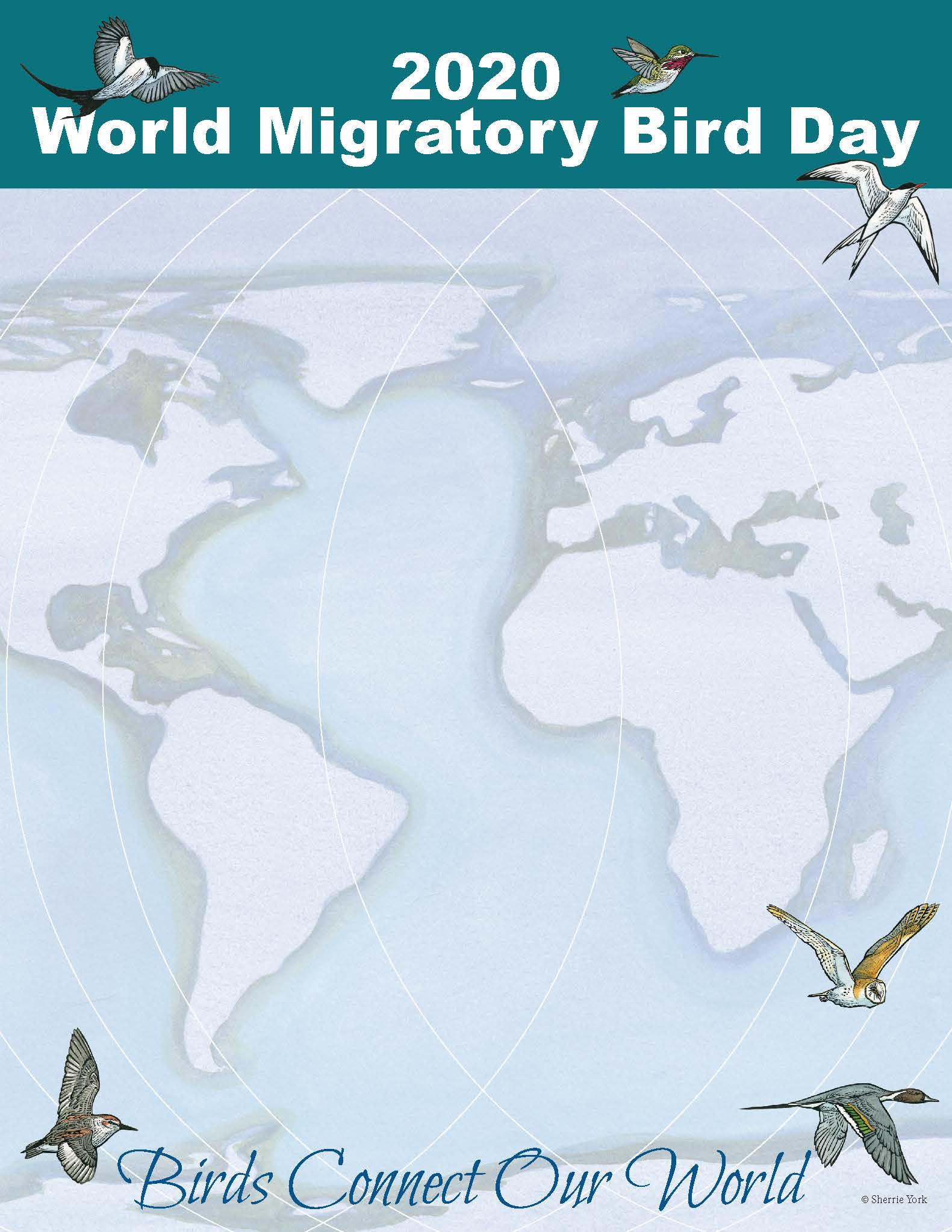 Resources – World Migratory Bird Day