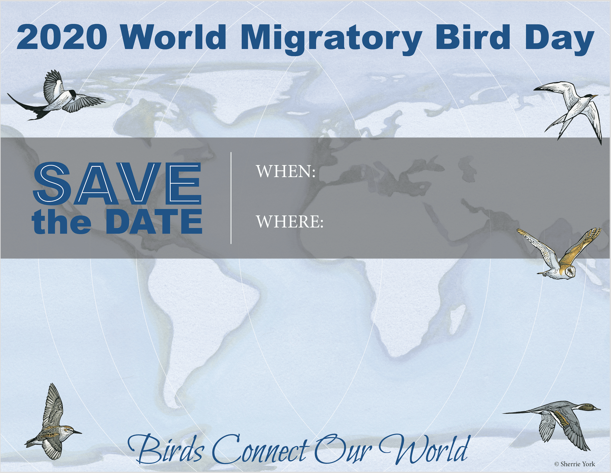 Resources – World Migratory Bird Day