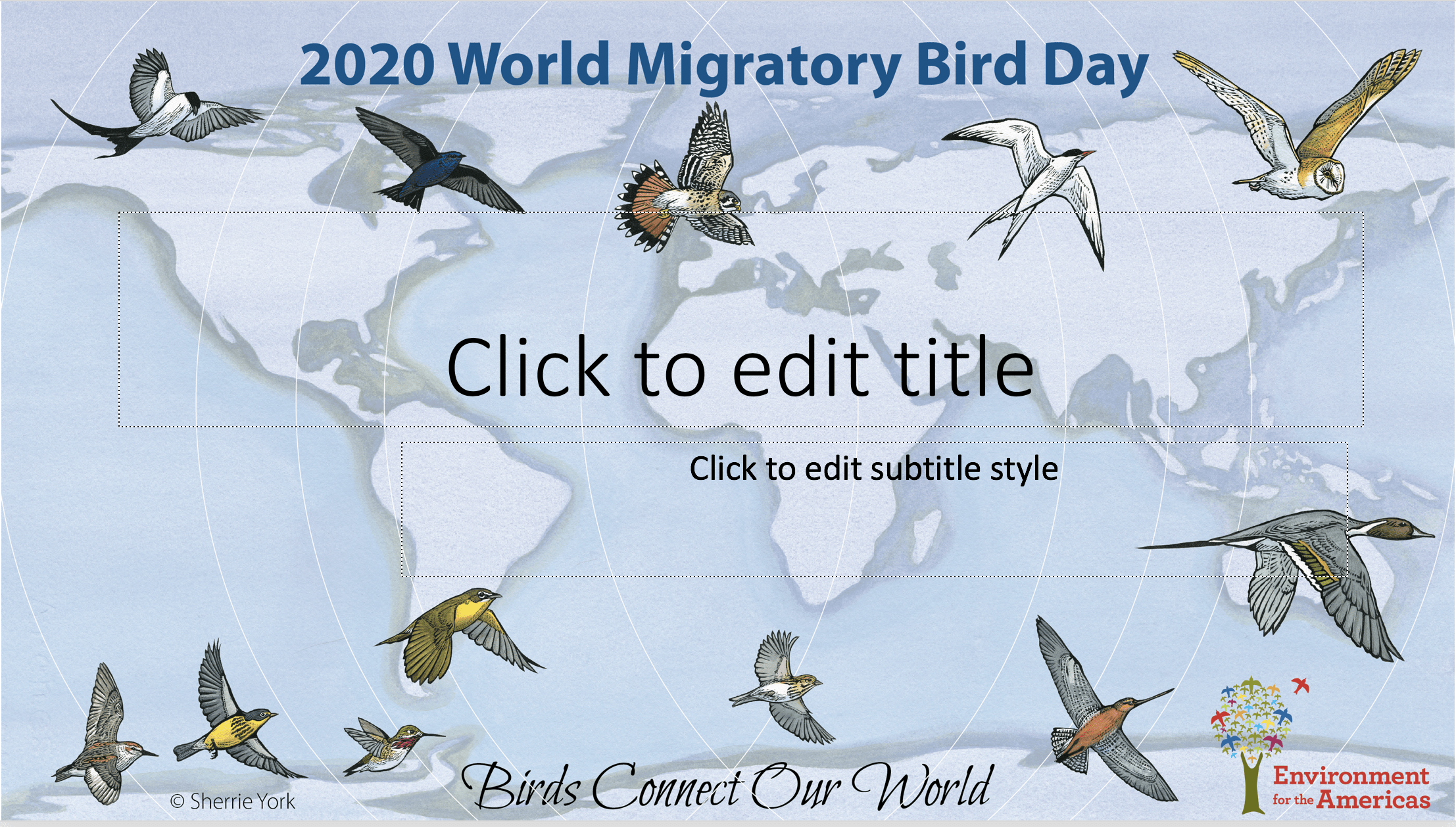 Resources – World Migratory Bird Day