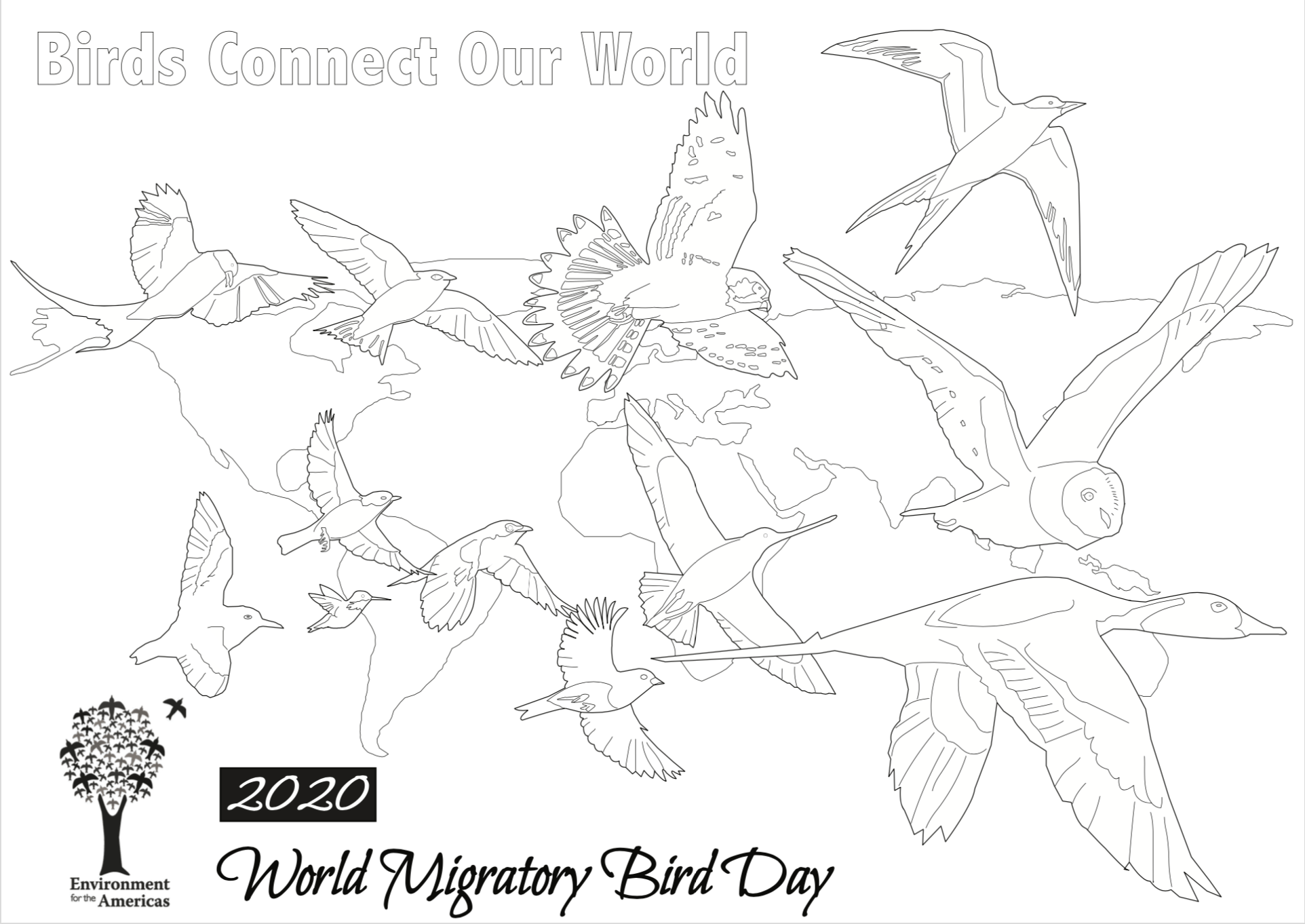 Resources – World Migratory Bird Day