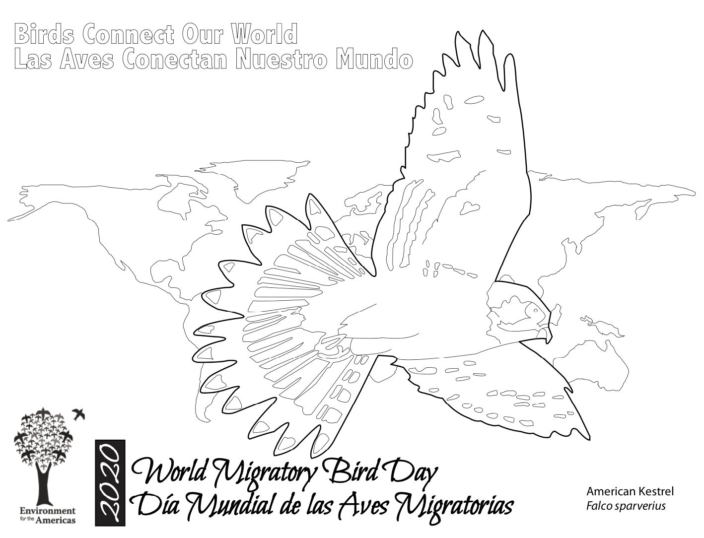 Resources – World Migratory Bird Day