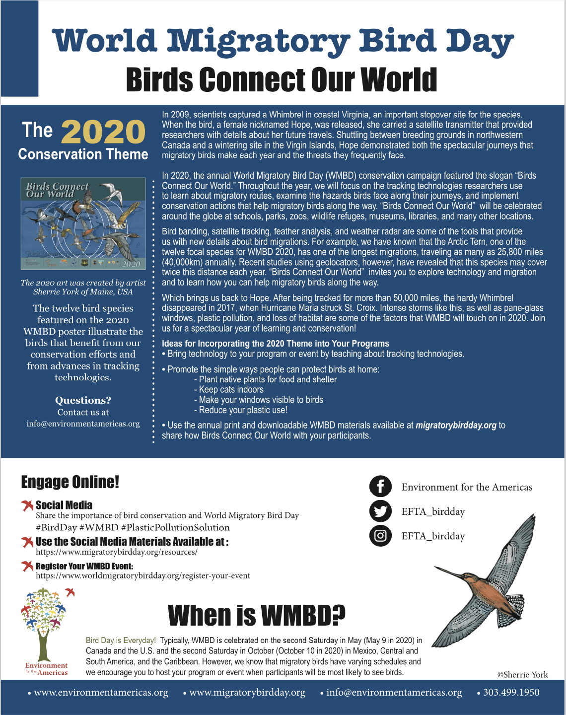 Resources – World Migratory Bird Day