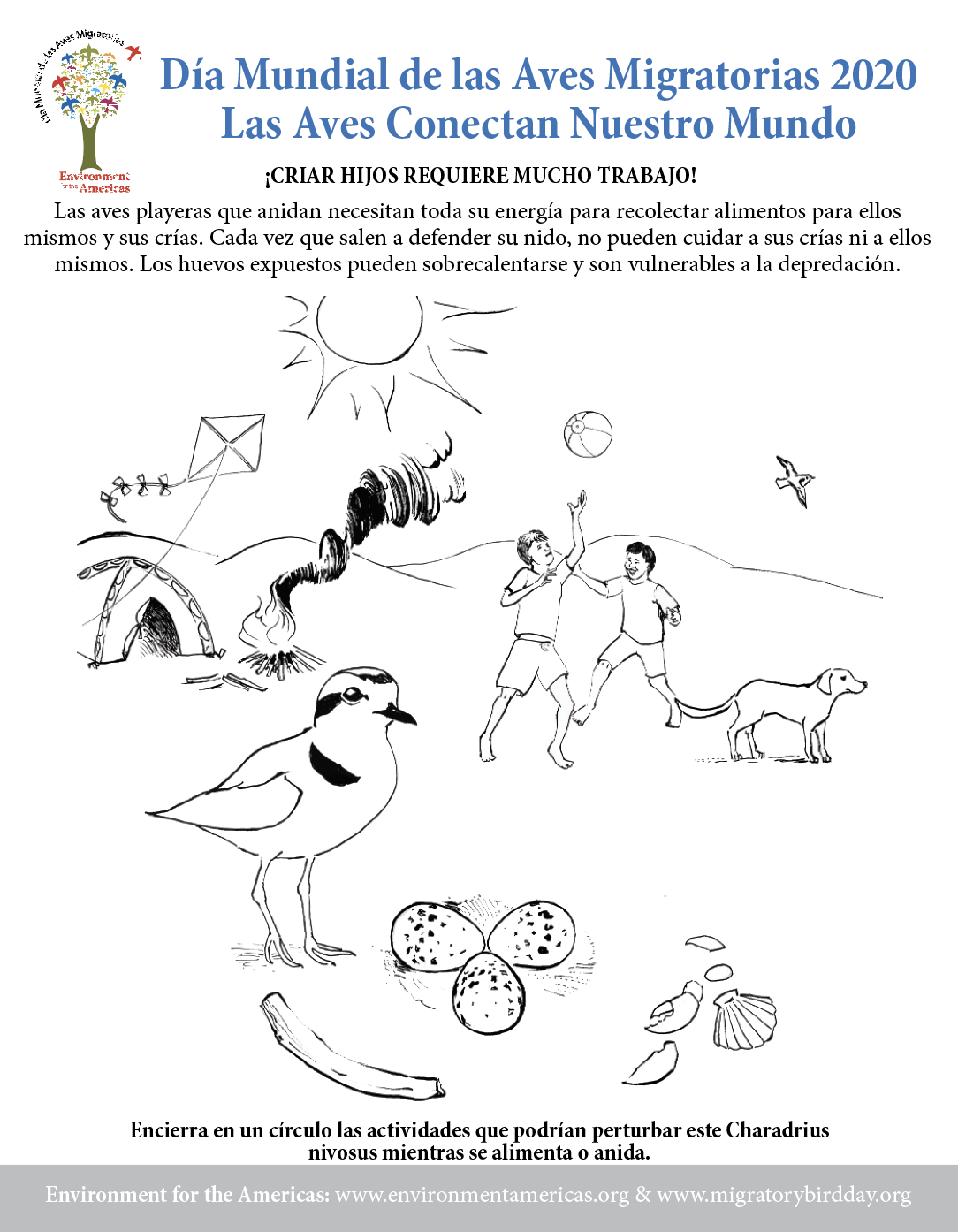 Resources – World Migratory Bird Day