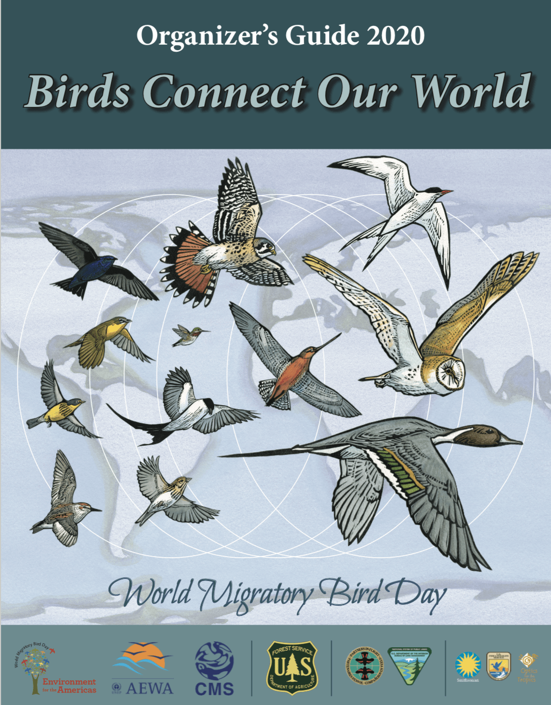 Resources – World Migratory Bird Day