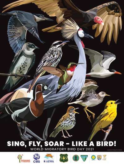 Past Themes - World Migratory Bird Day
