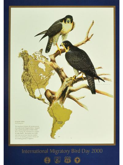 World Migratory Bird Day | Past Themes