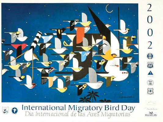 World Migratory Bird Day | Past Themes
