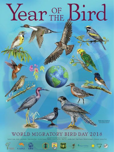 Past Themes - World Migratory Bird Day