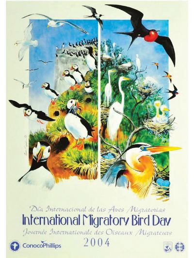 World Migratory Bird Day | Past Themes