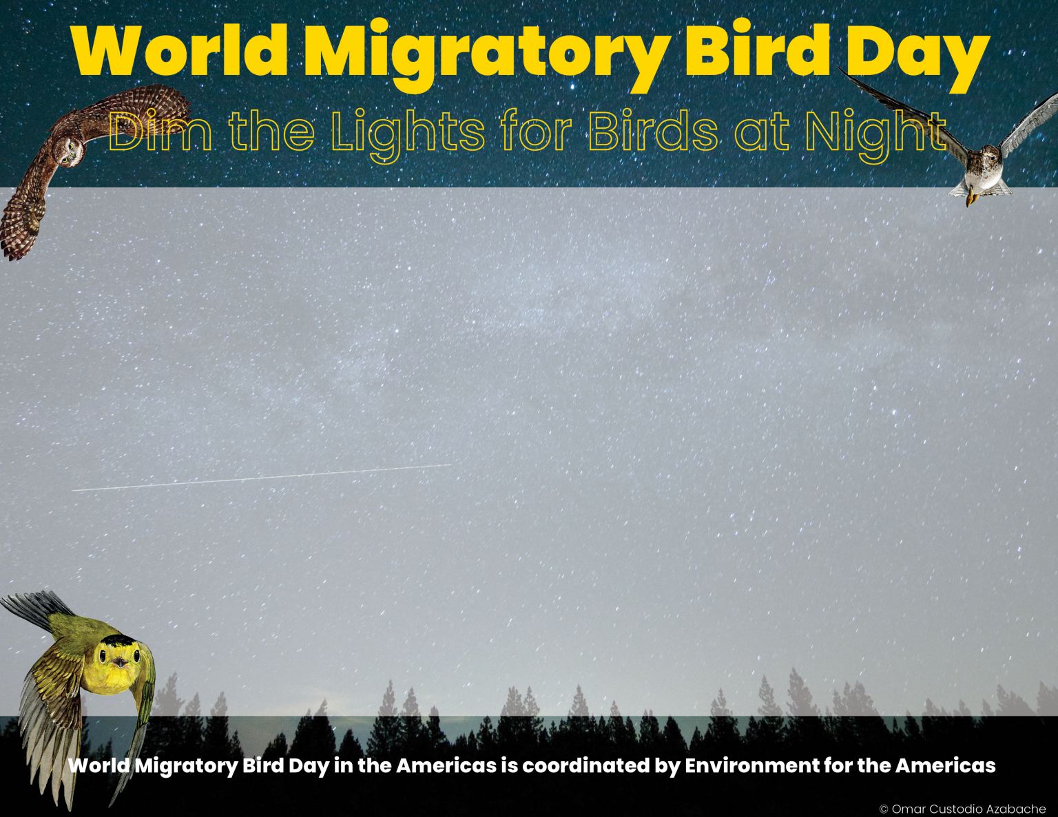 World Migratory Bird Day | Resources