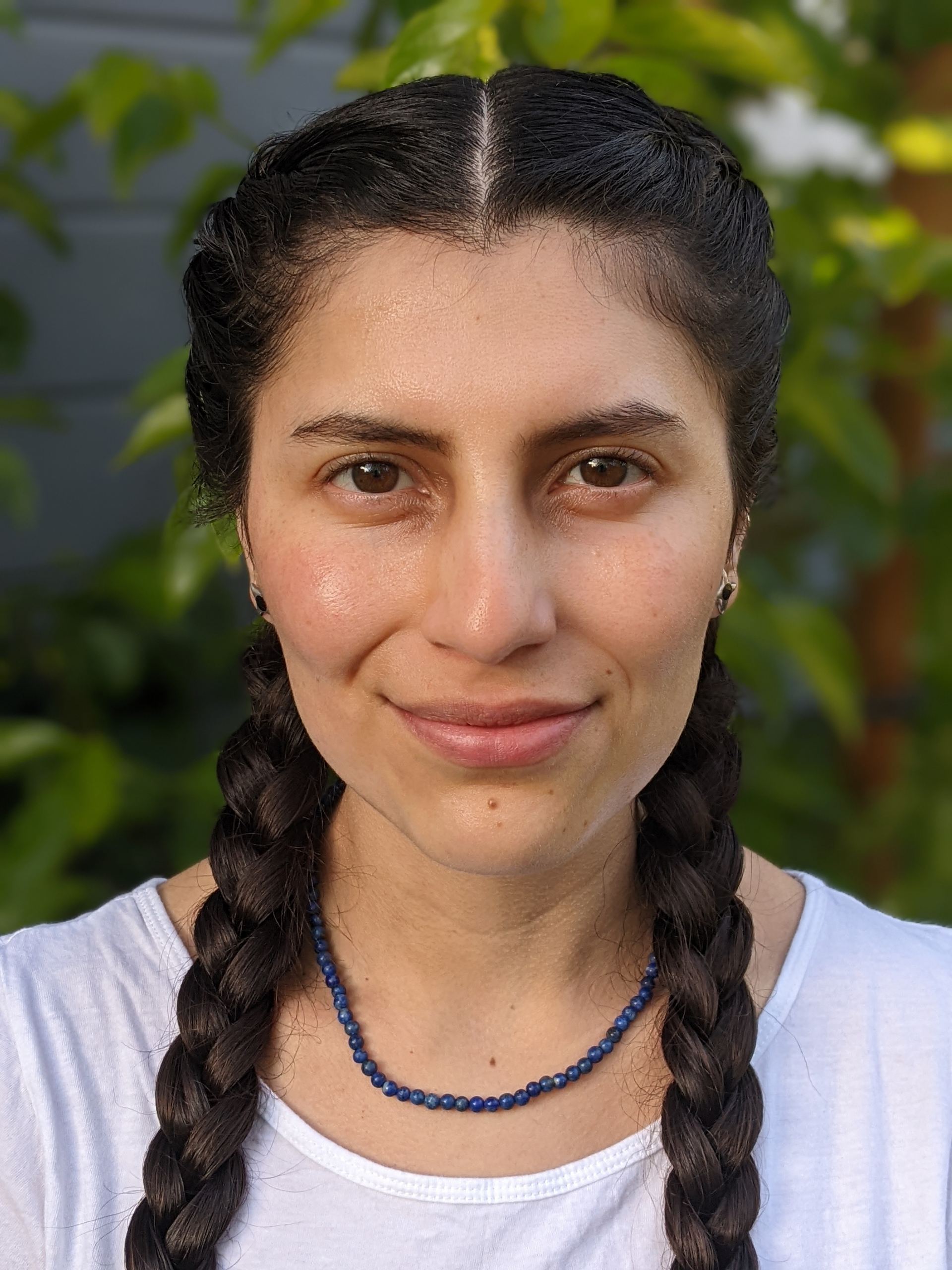 World Migratory Bird Day | in the Americas