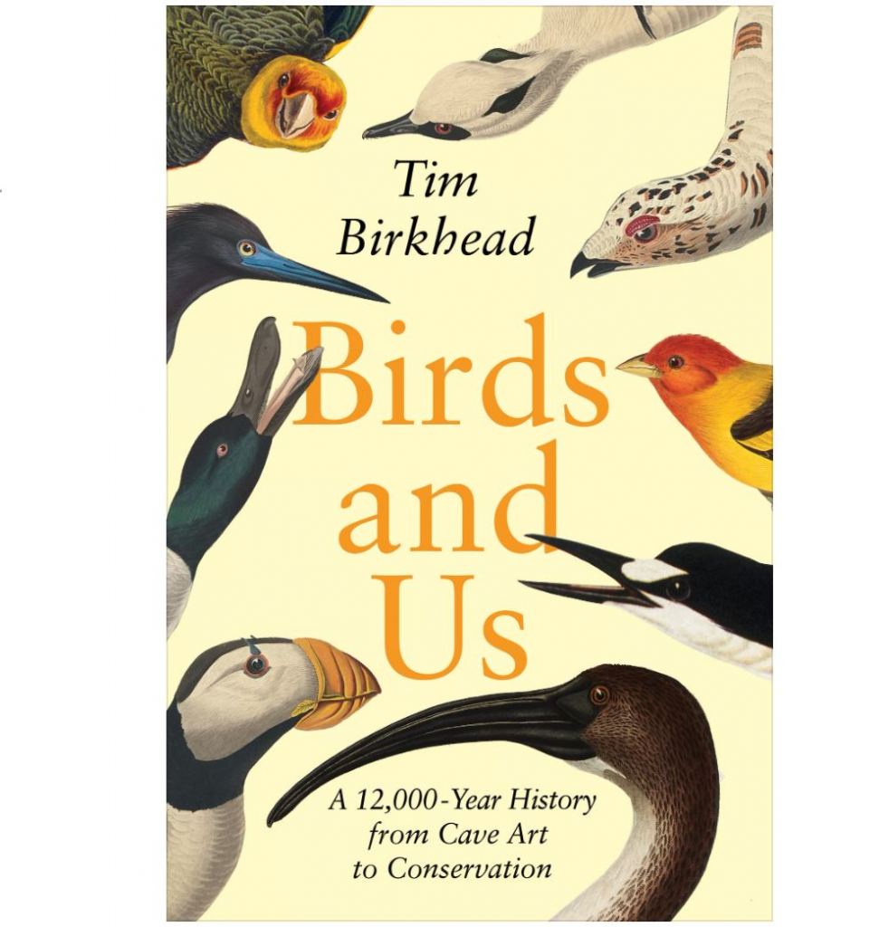 World Migratory Bird Day | Bird Book Club