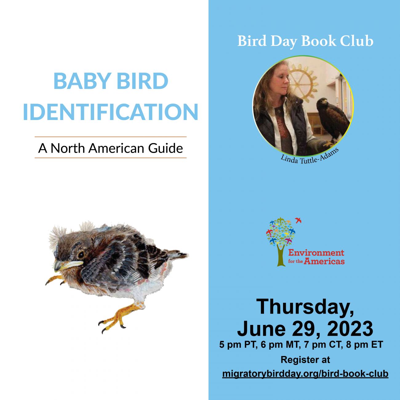 World Migratory Bird Day | Bird Book Club