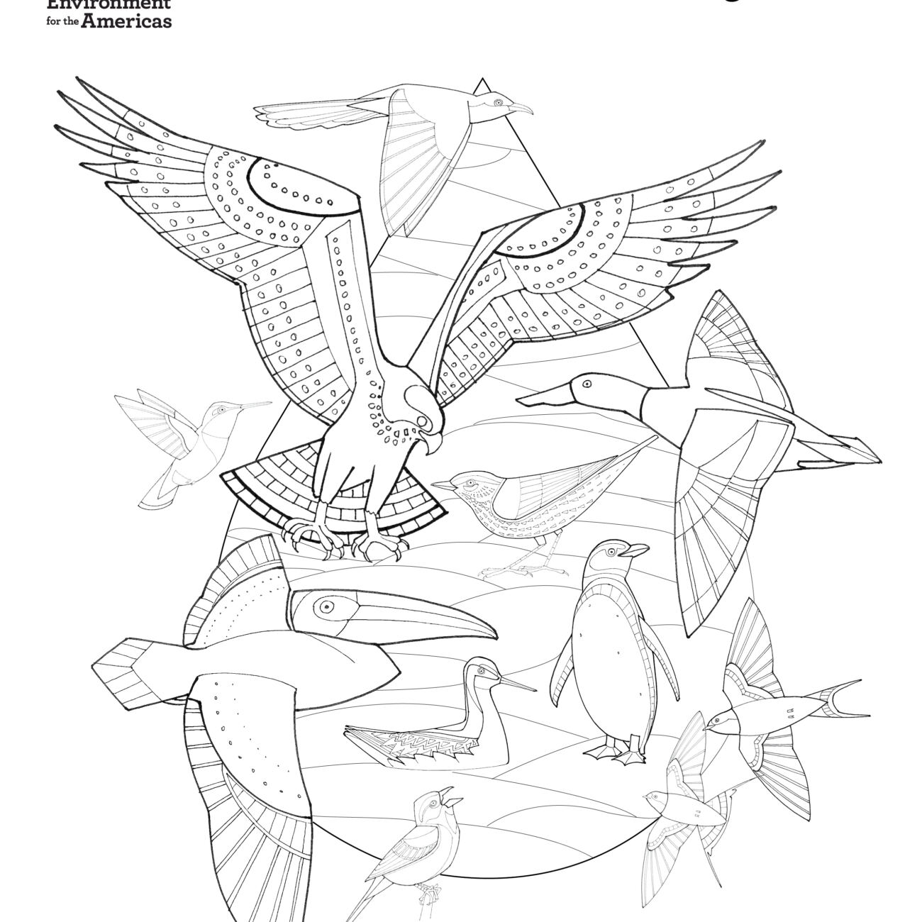 World Migratory Bird Day | Resources