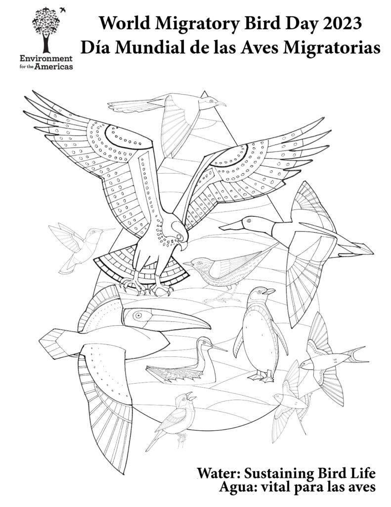 World Migratory Bird Day | Resources