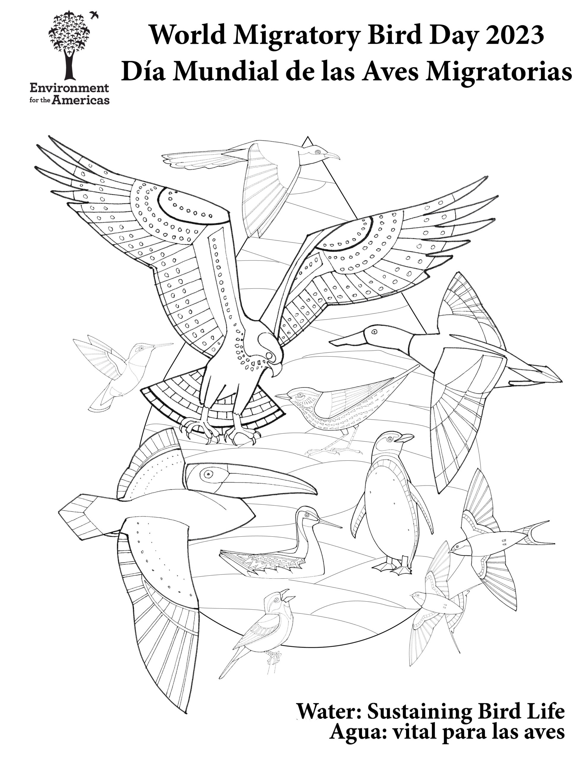 World Migratory Bird Day | Resources