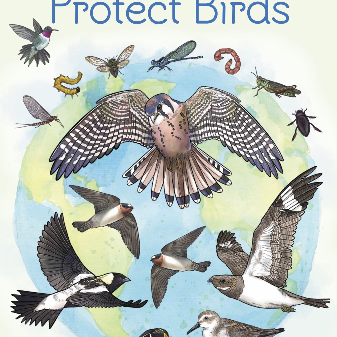 Resources - World Migratory Bird Day