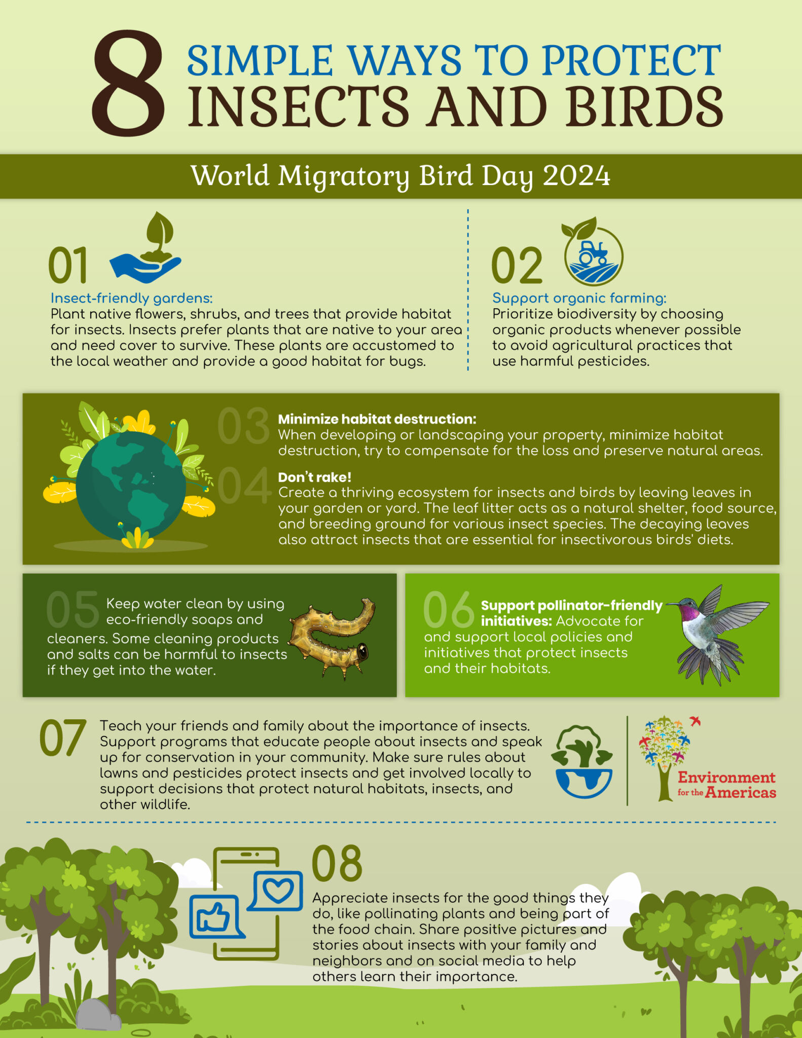 World Migratory Bird Day | Recommended Activities