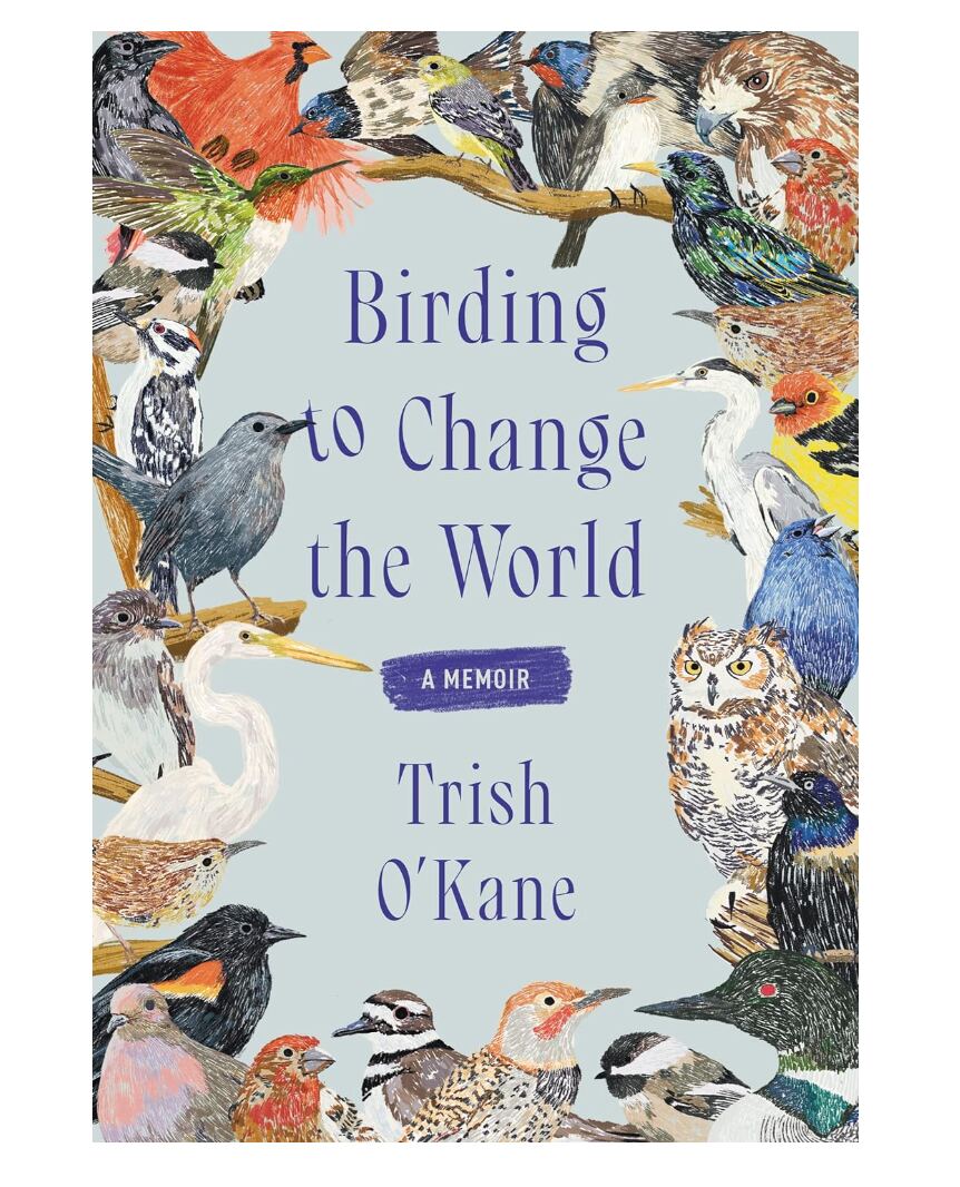 World Migratory Bird Day | Bird Book Club