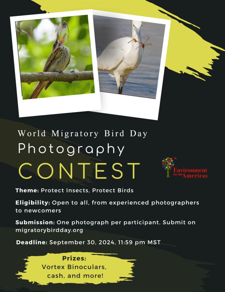 Photography Contest 2024 - World Migratory Bird Day