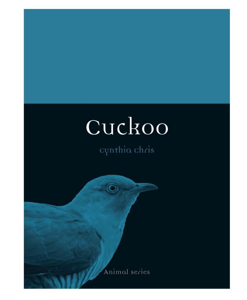 World Migratory Bird Day | Bird Book Club