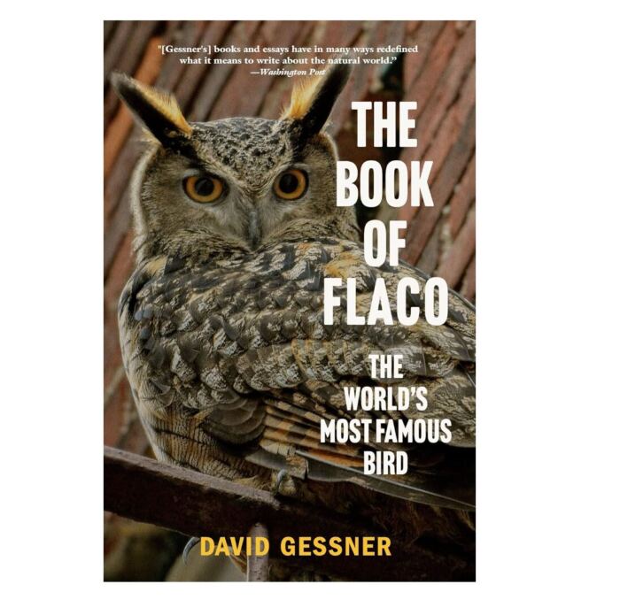 World Migratory Bird Day | Bird Book Club