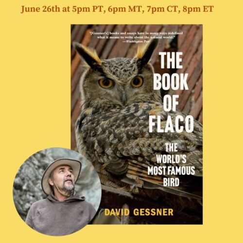 Bird Book Club - World Migratory Bird Day