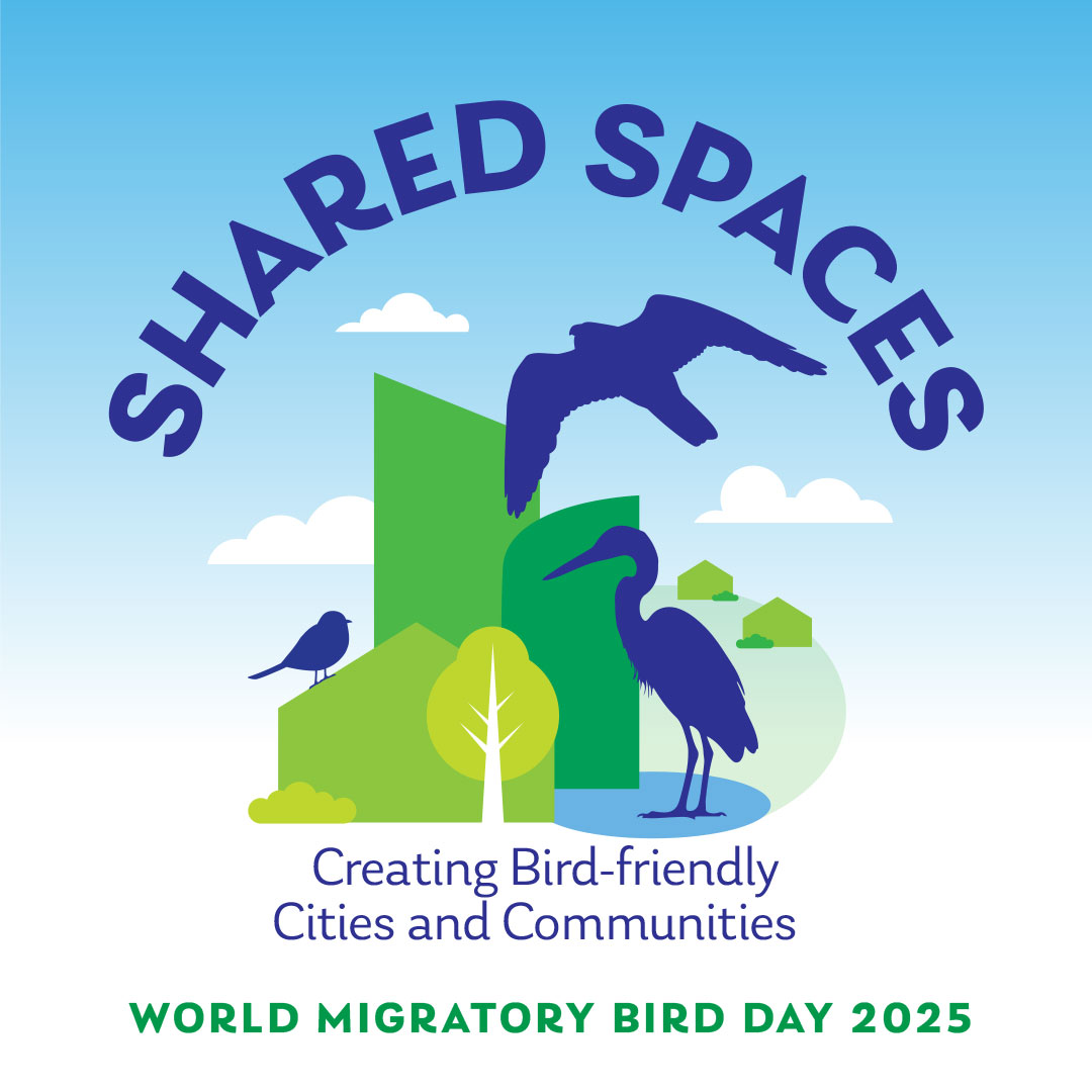PRESS RELEASE - World Migratory Bird Day