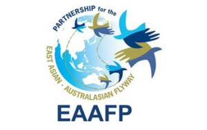 What is WMBD? - World Migratory Bird Day