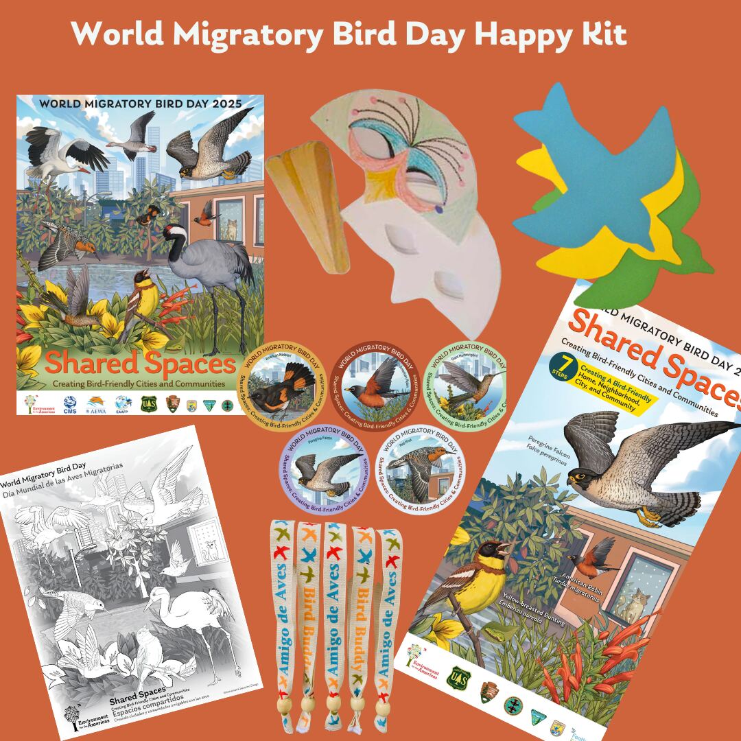 Mini-grants - World Migratory Bird Day